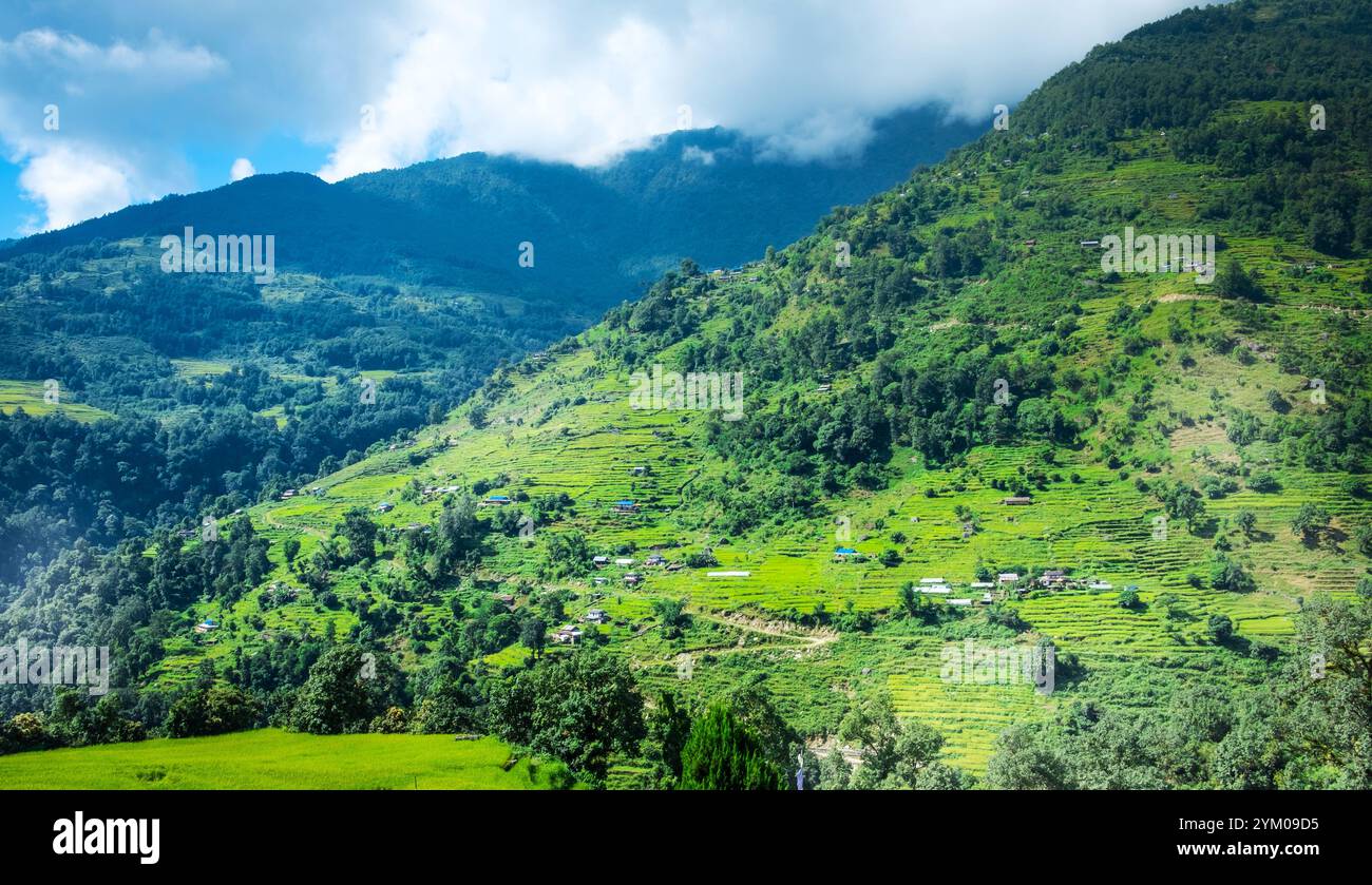 Beautiful landscape with green field of rice and mountains in nepal ...
