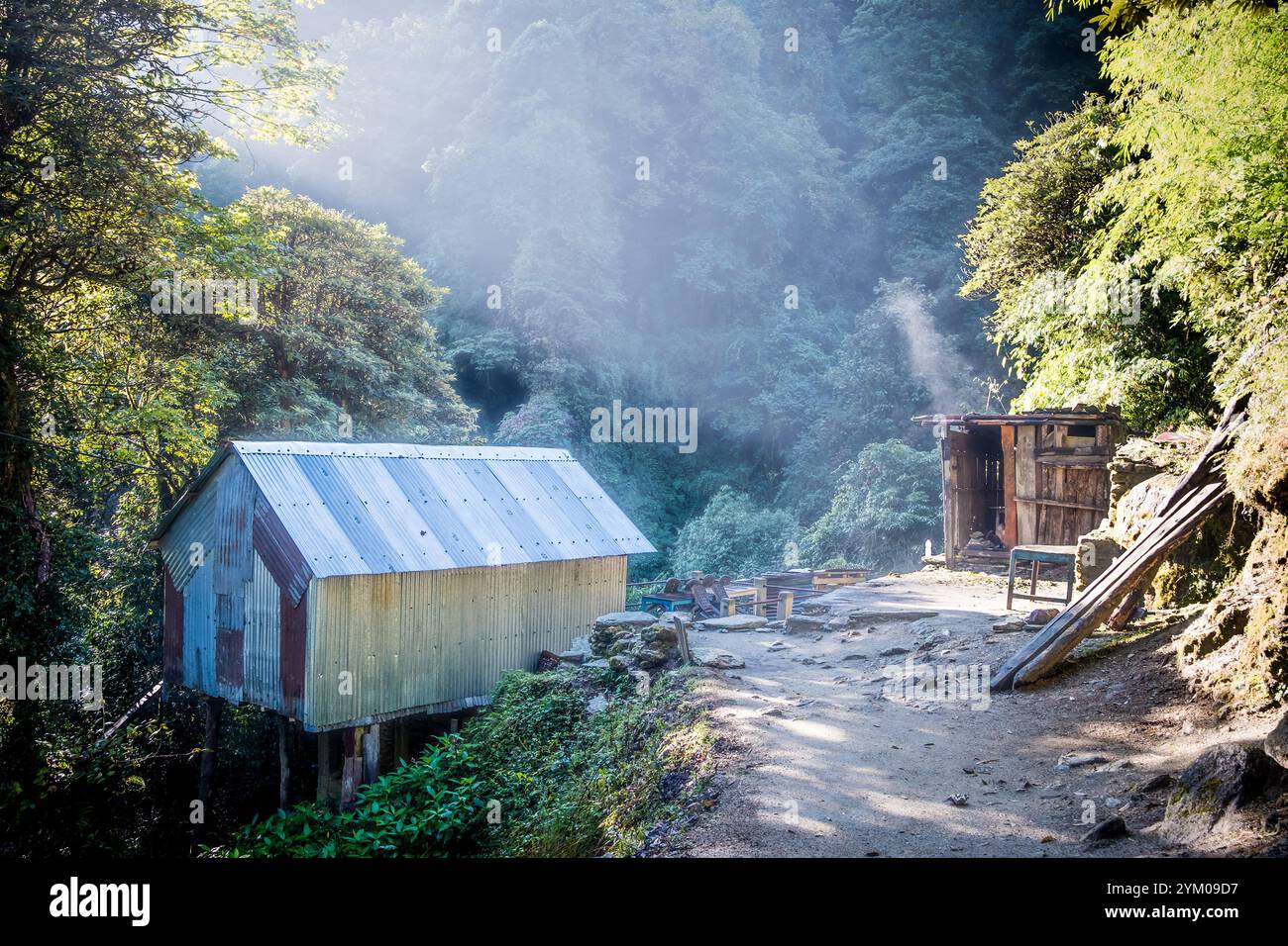 Sun rays on an old hut in forest on annapurna trekking circuit ...