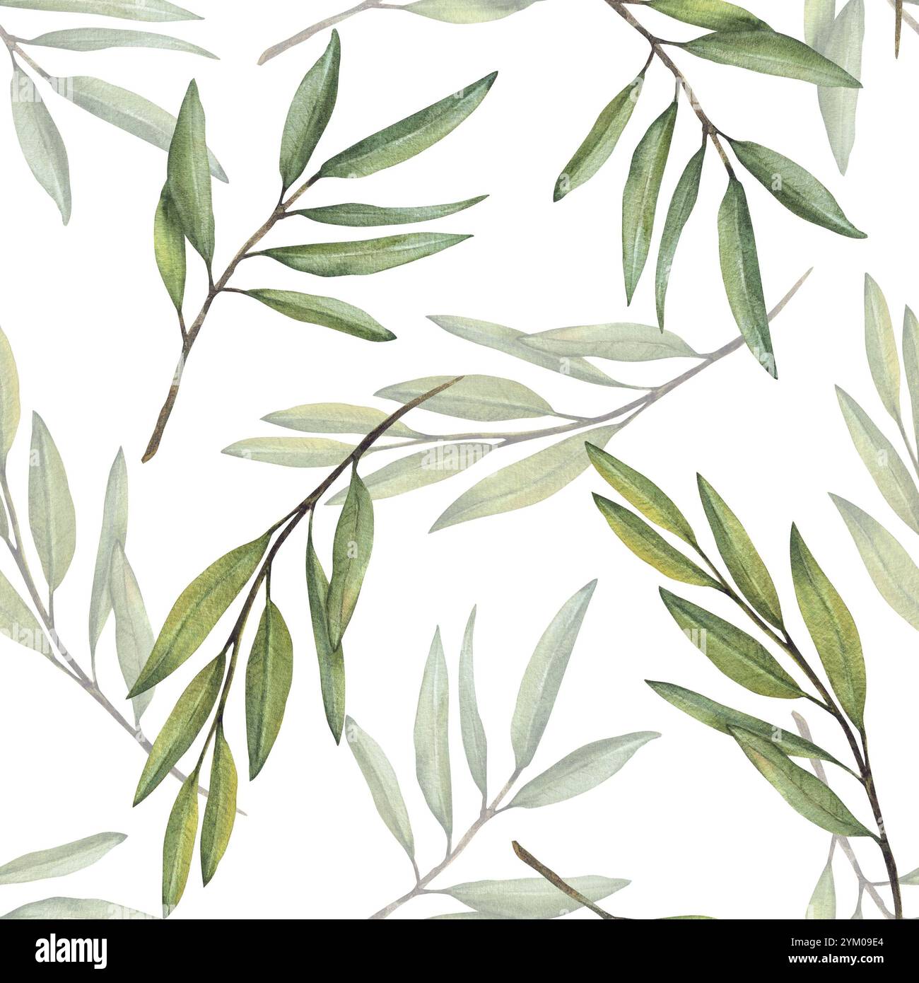 Watercolor Olive tree branch, fruitless with green leaves seamless pattern. Botanical floral ...