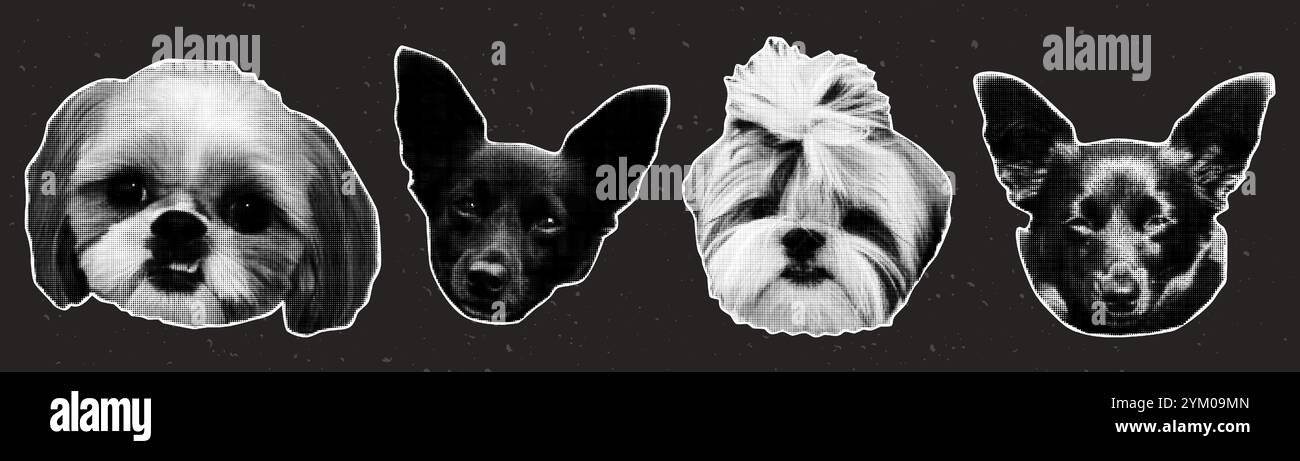Pop art animal heads Stock Vector Images - Alamy