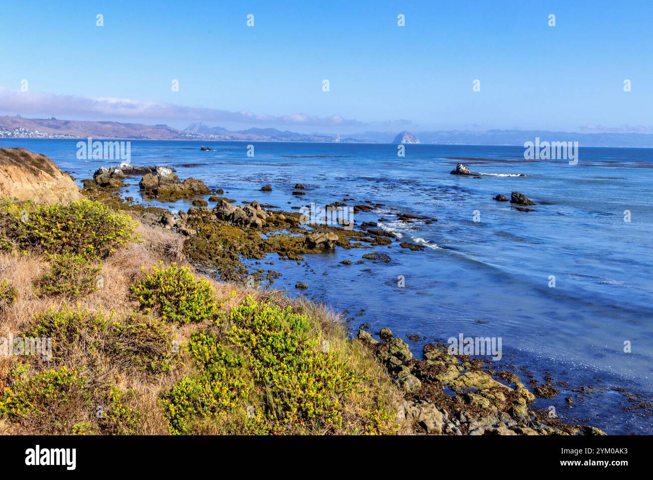 Coastal view of Cayucos, California Stock Photo - Alamy