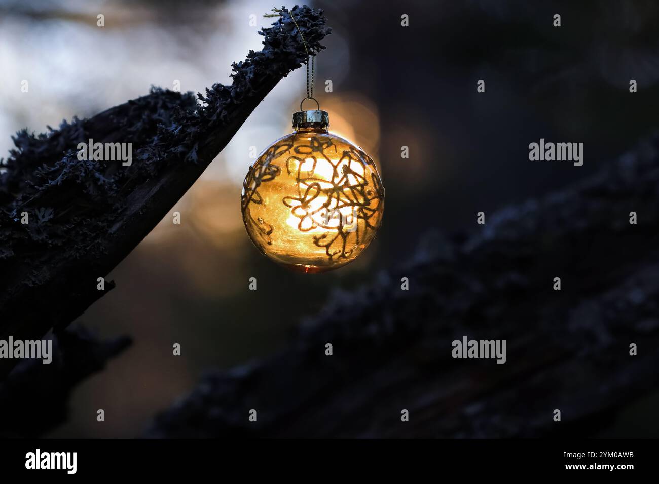 Christmas toy on the dead gnag in the wild forest, ecologic concept ...