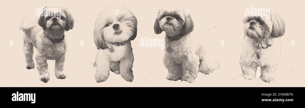 Trendy punk halftone collage dog set. Cute puppy in different poses ...