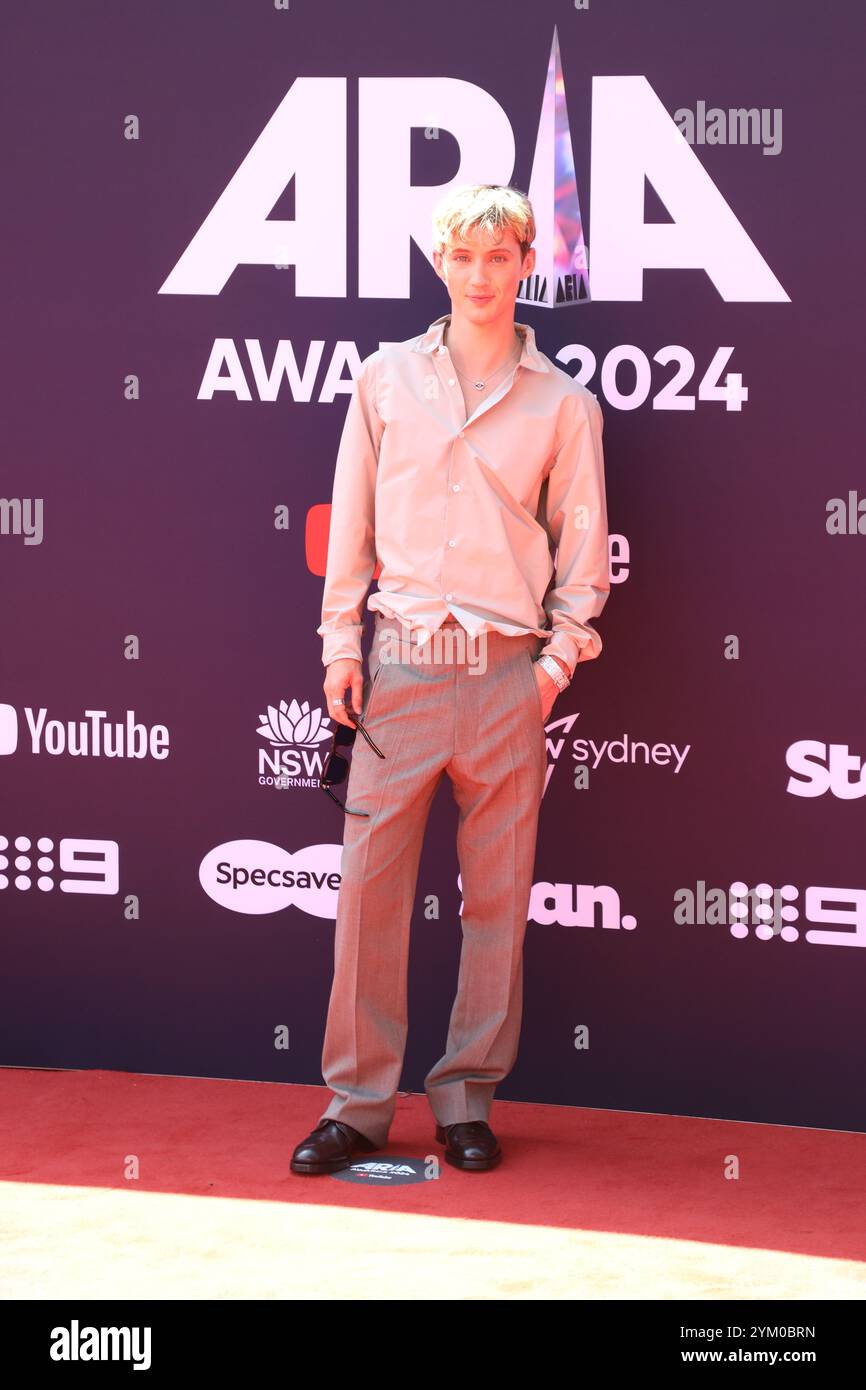 Sydney, Australia. 20th November 2024. Troye Sivan arrives on the red carpet for the 2024 ARIA ...