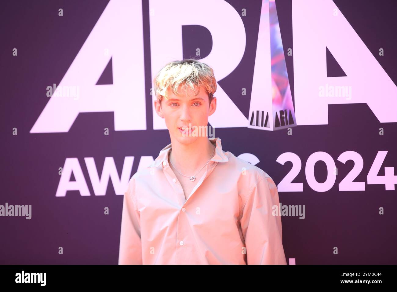 Sydney, Australia. 20th November 2024. Troye Sivan arrives on the red carpet for the 2024 ARIA ...