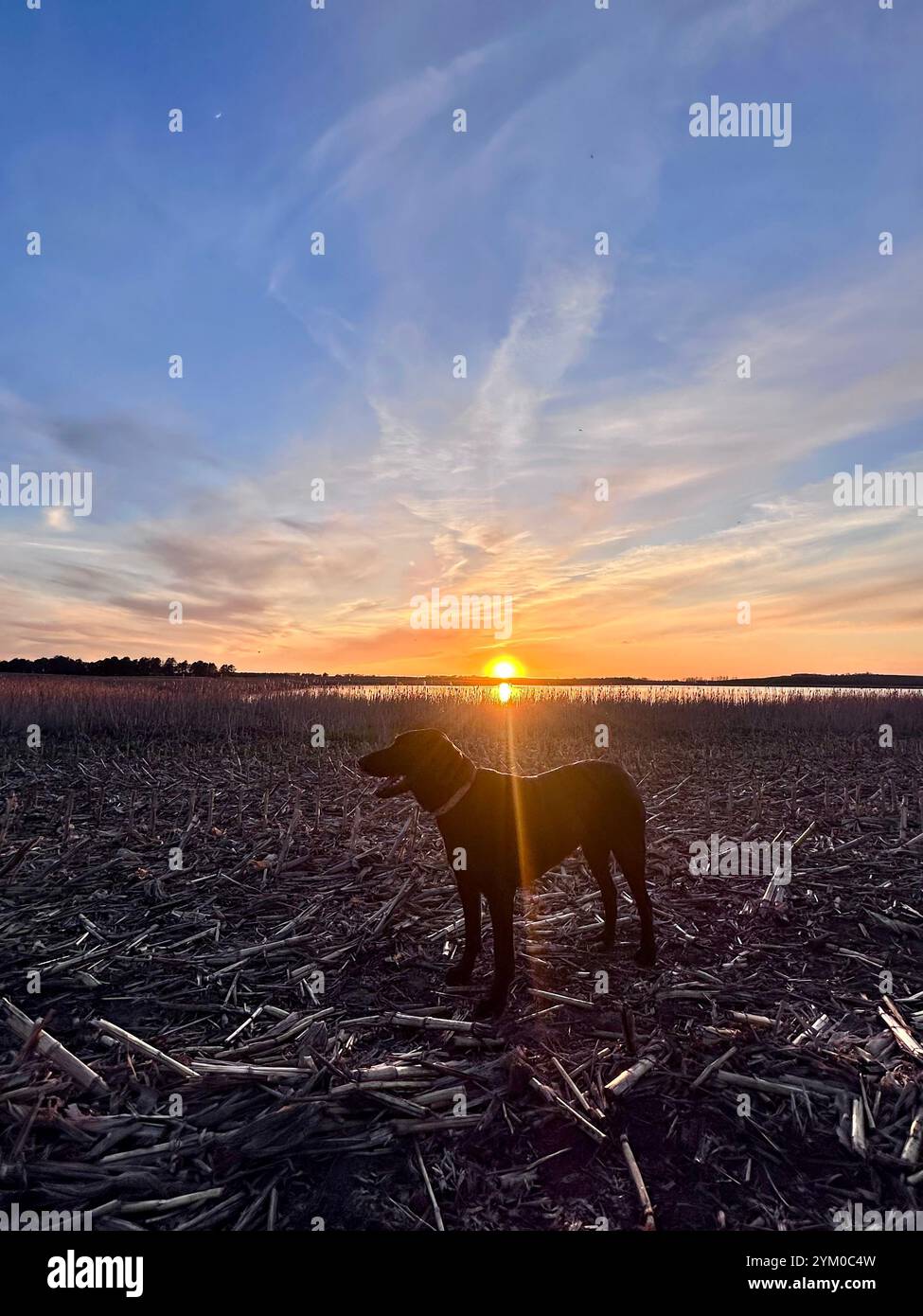 Western hunting hi-res stock photography and images - Alamy