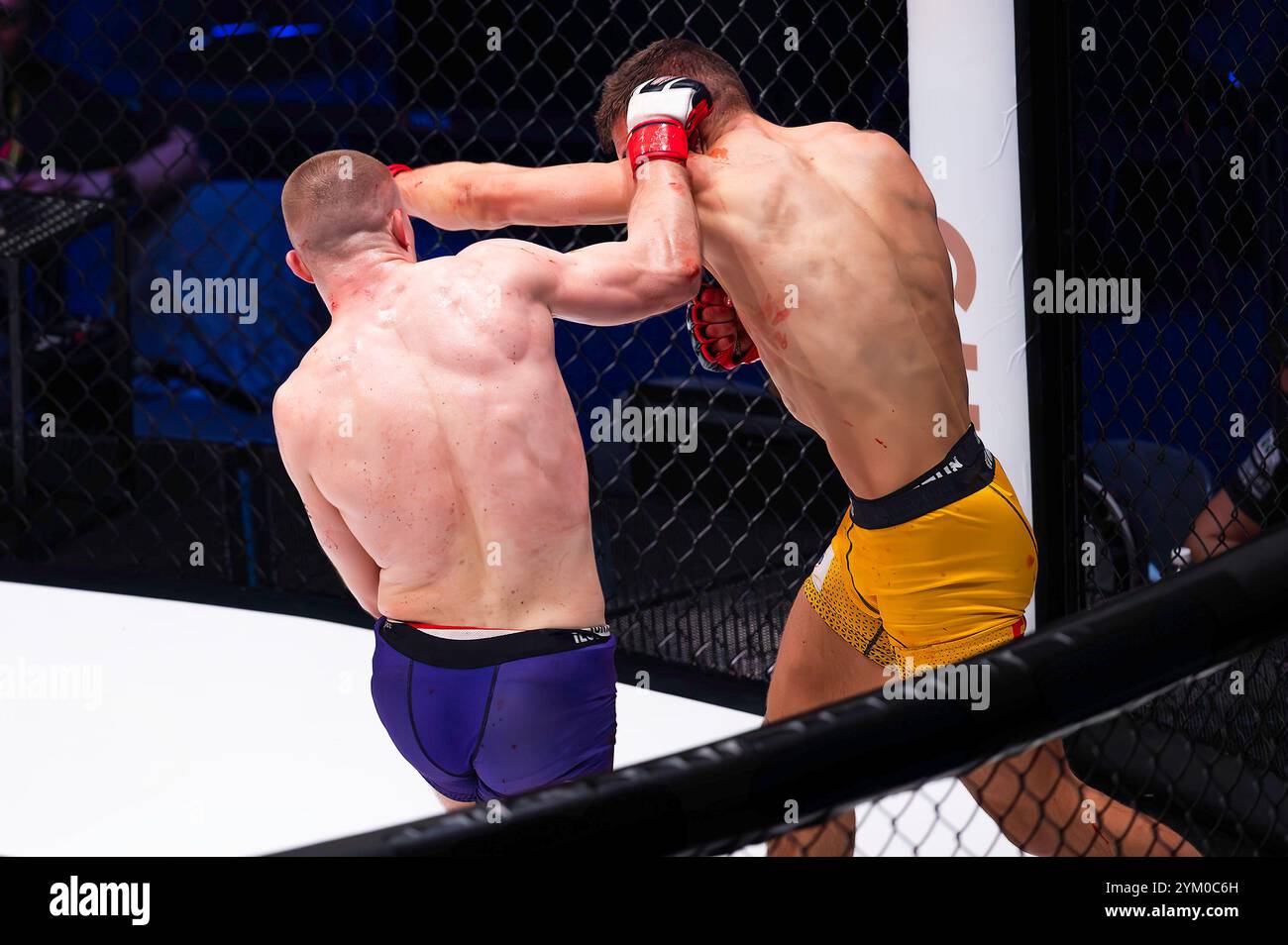 Mma ring hi-res stock photography and images - Alamy