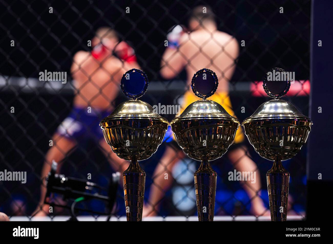 Cups standing in front of the ring where the fight takes place Stock ...