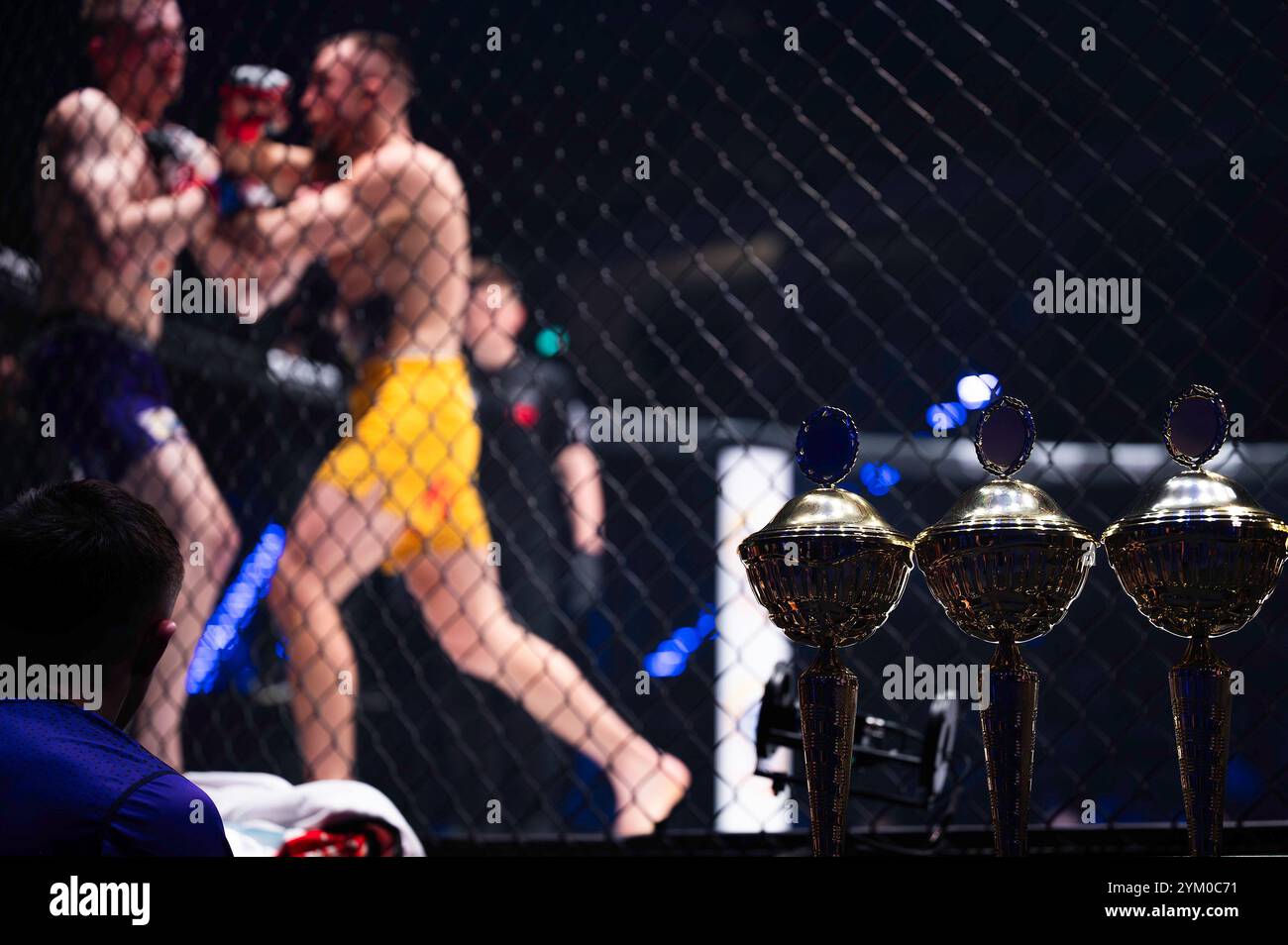 Cups standing in front of the ring where the fight takes place Stock ...