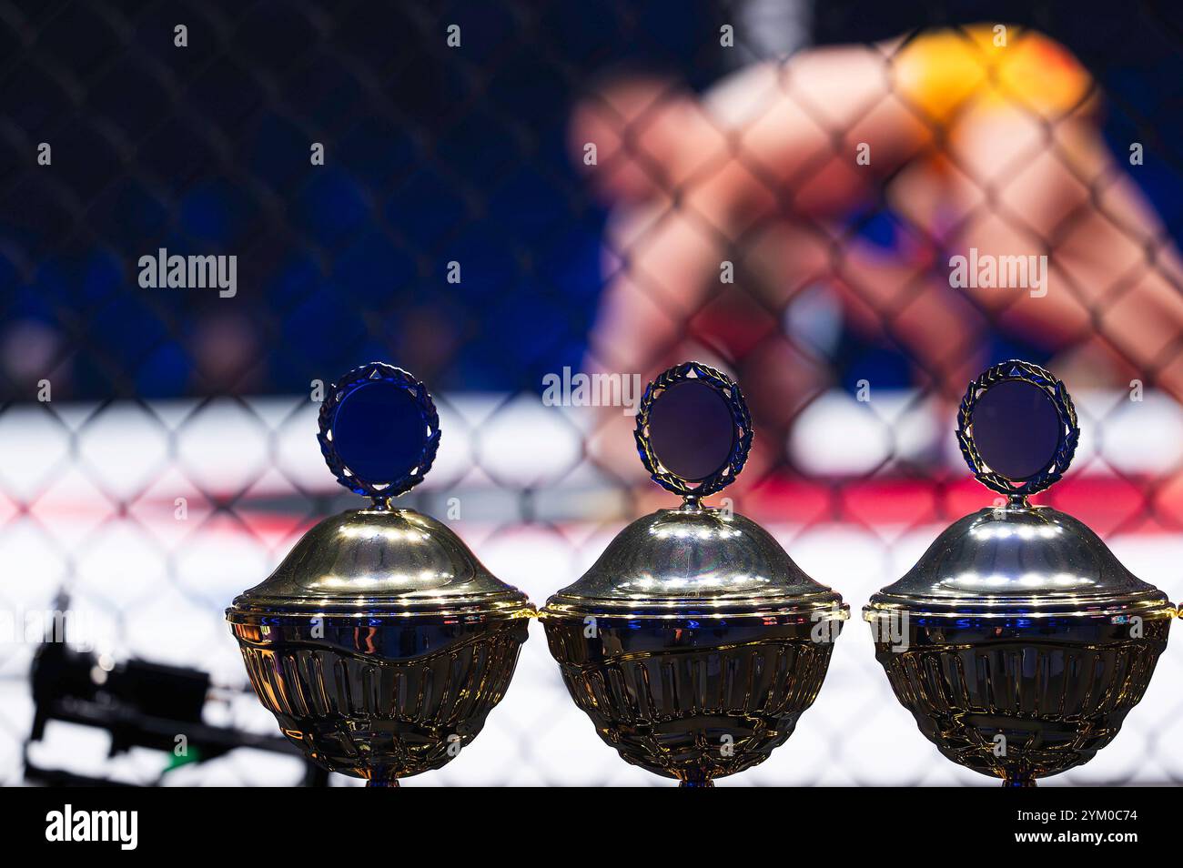 Cups standing in front of the ring where the fight takes place Stock ...