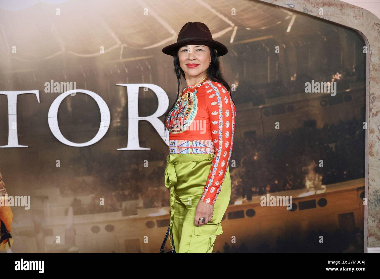 November 18, 2024, Los Angeles, California, USA: Irene Bedard at the ...