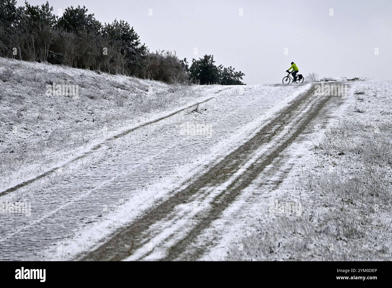 Hair, Deutschland. 20th Nov, 2024. Weather picture: First snow in the ...
