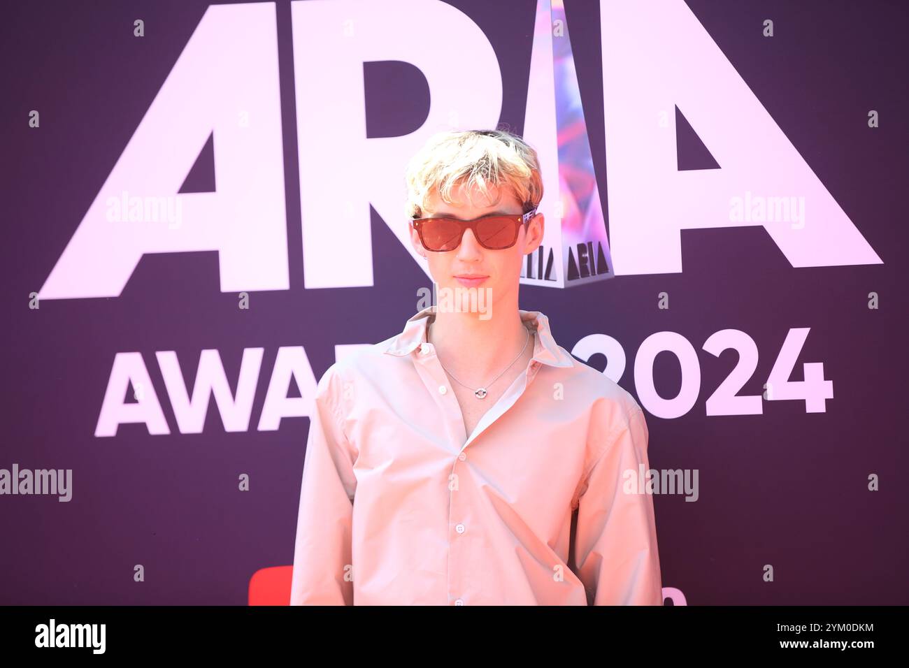 Sydney, Australia. 20th November 2024. Troye Sivan arrives on the red carpet for the 2024 ARIA ...