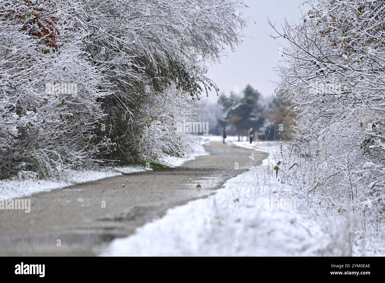 Hair, Deutschland. 20th Nov, 2024. Weather picture: First snow in the ...