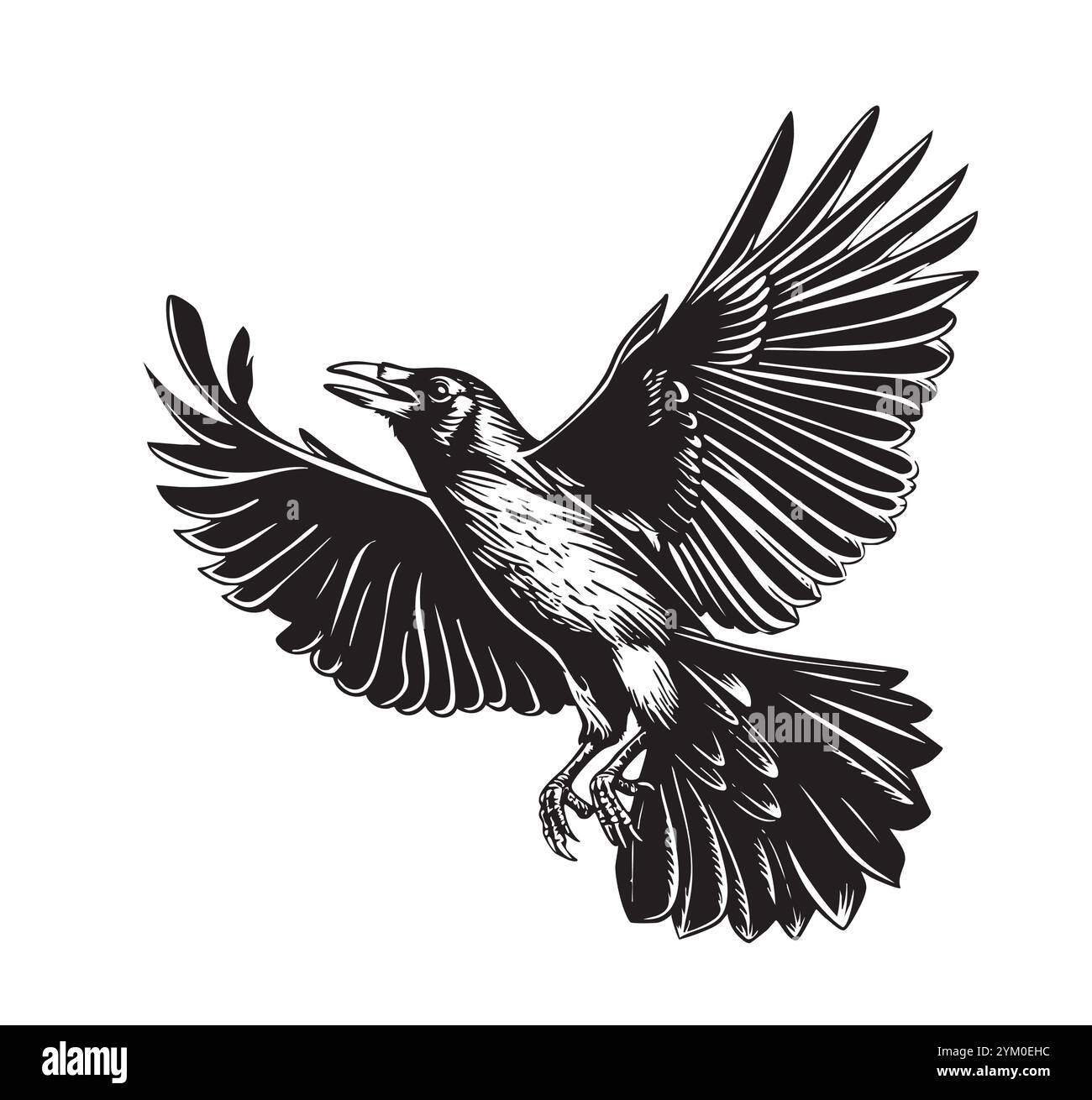 Raven flying silhouette hand drawn sketch illustration Stock Vector Image & Art - Alamy