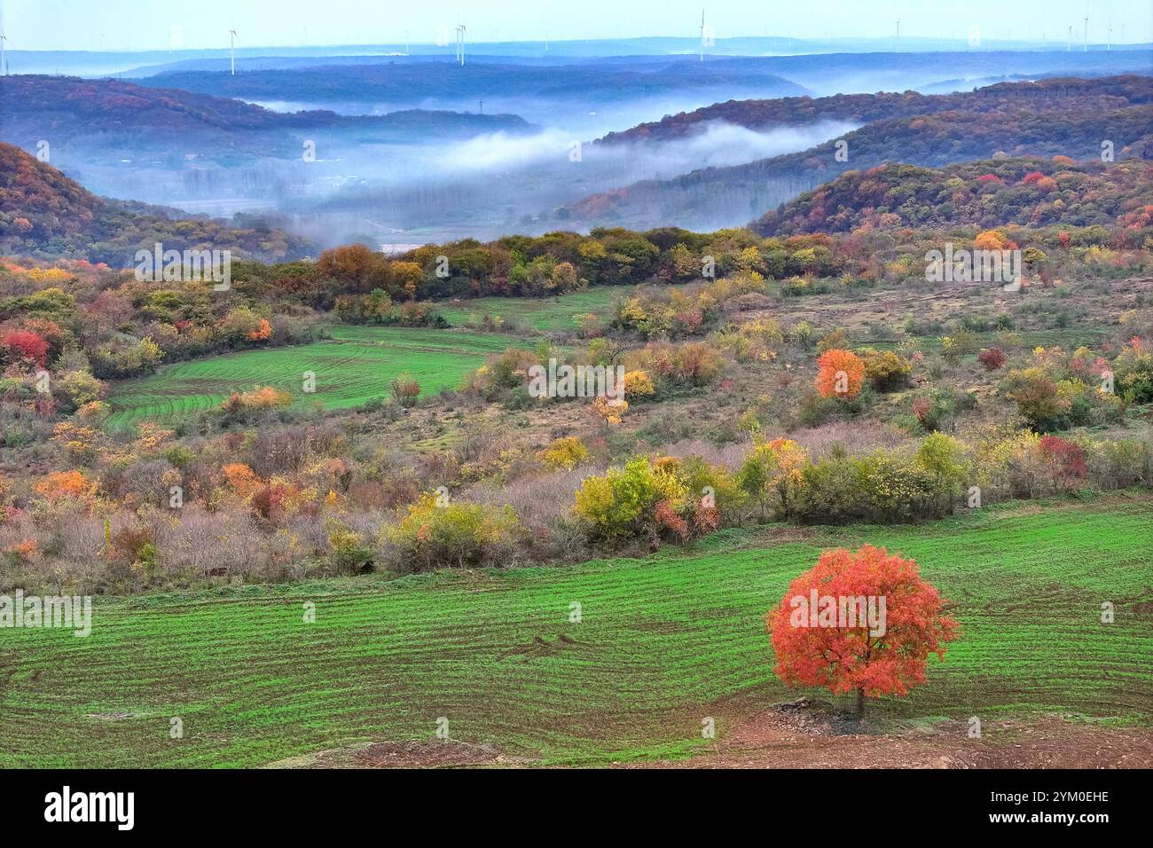 Xuyi,China.20th November 2024. Aerial photography of Tieshan Temple ...