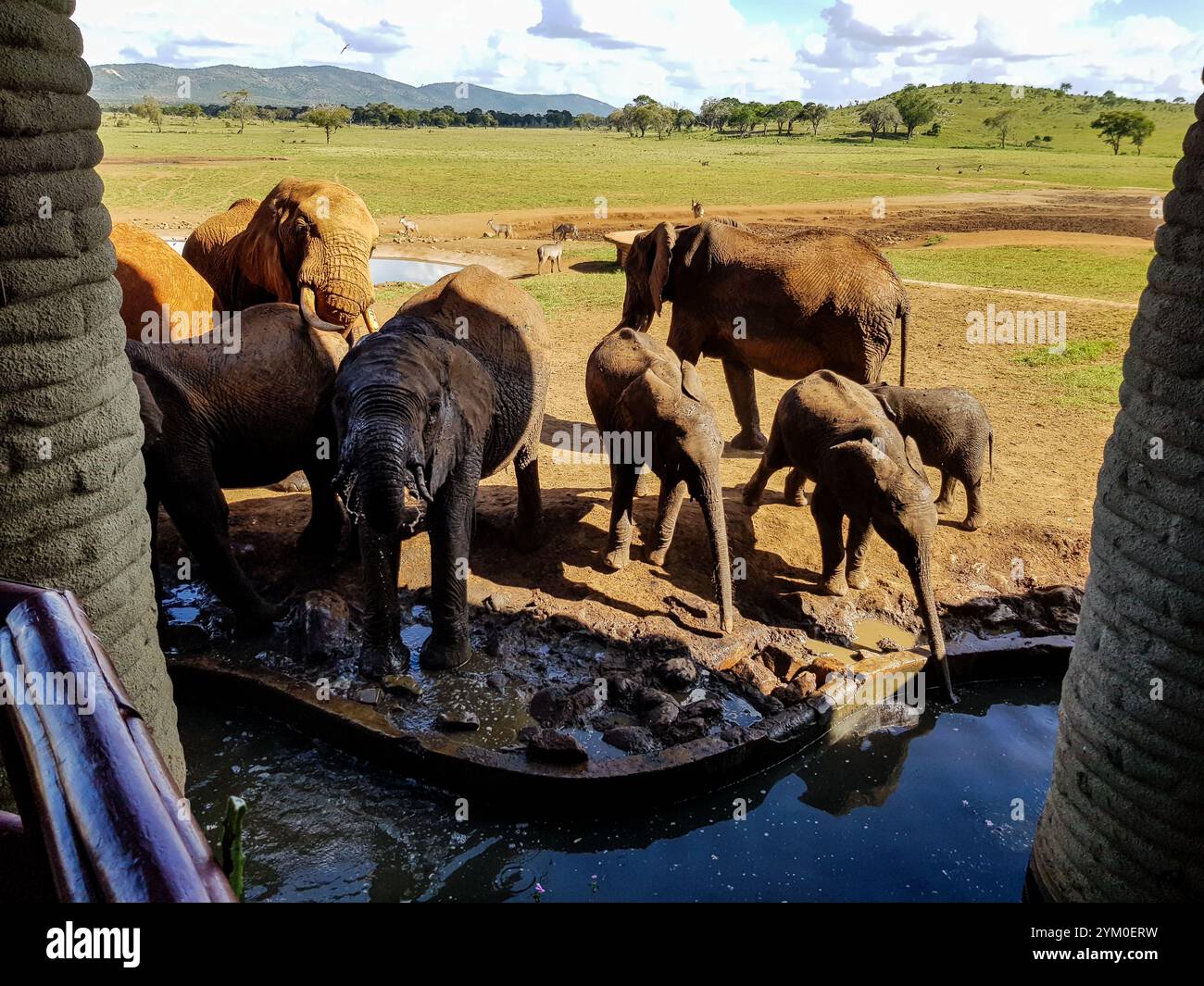 in the photo, an elephant drinking water under the Taita Hills Safari ...