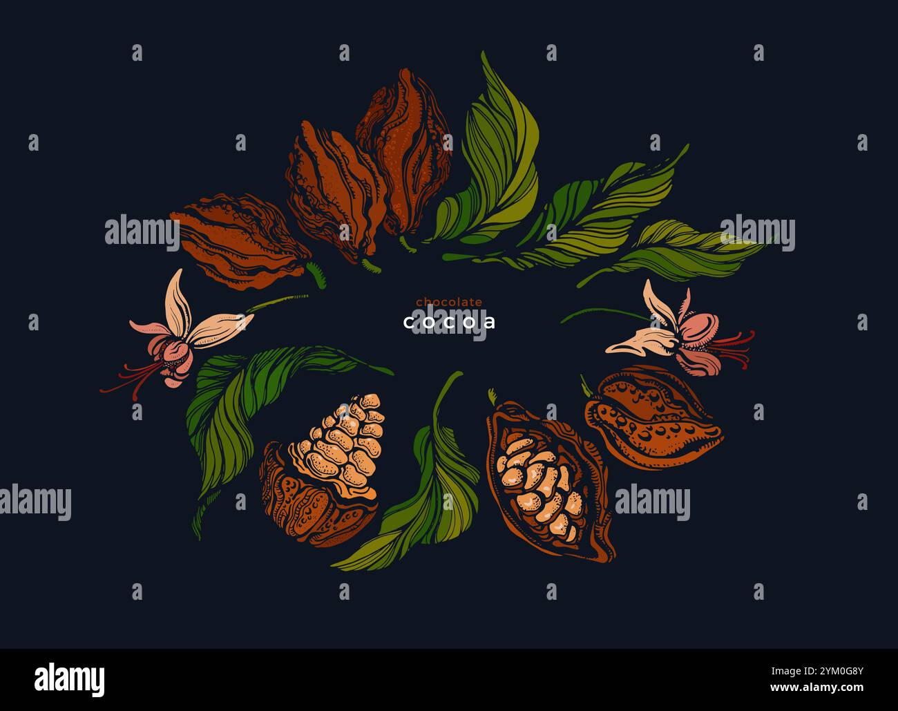 Coco beans chocolate Stock Vector Images - Alamy