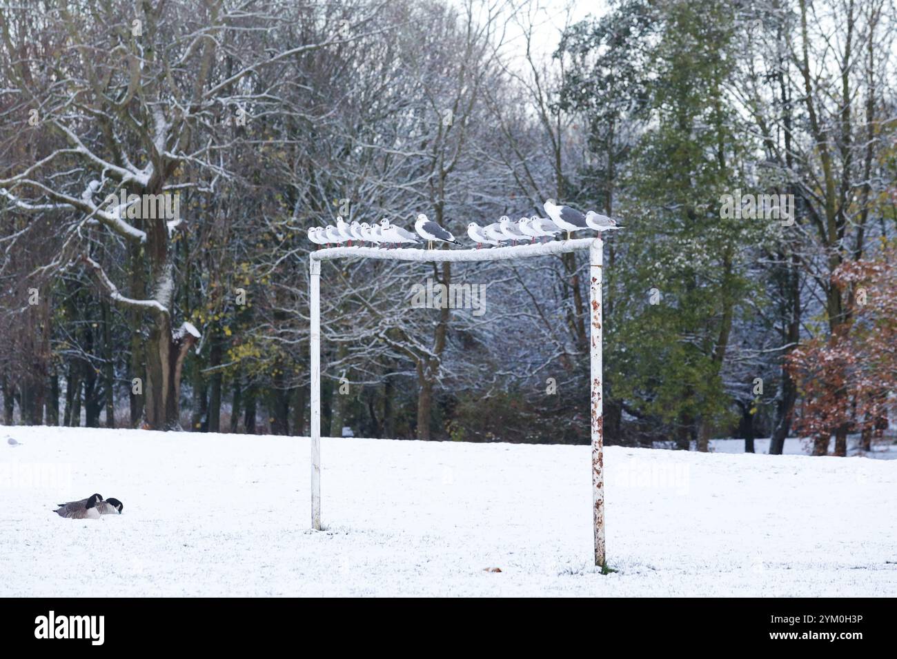 Fallings hi-res stock photography and images - Alamy