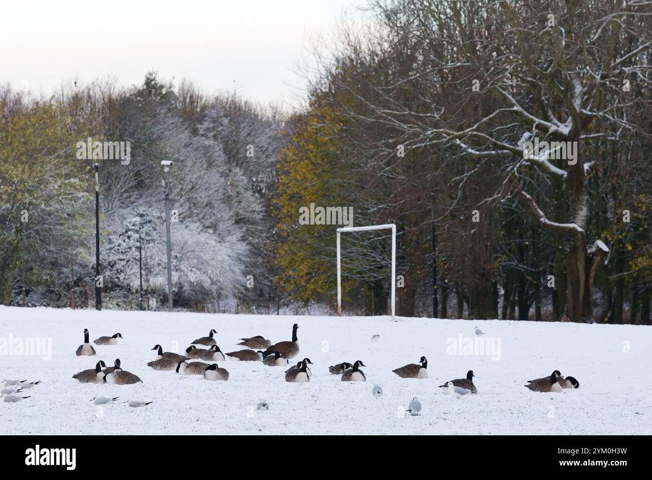 Fallings hi-res stock photography and images - Alamy
