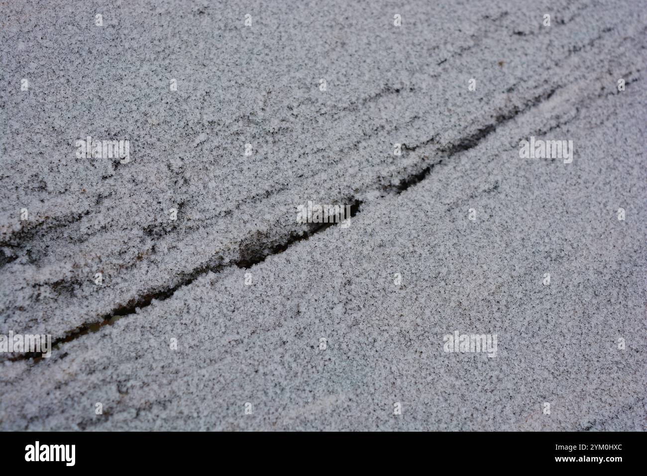 An old wooden log, rotten wooden boards with rusty old nails covered ...