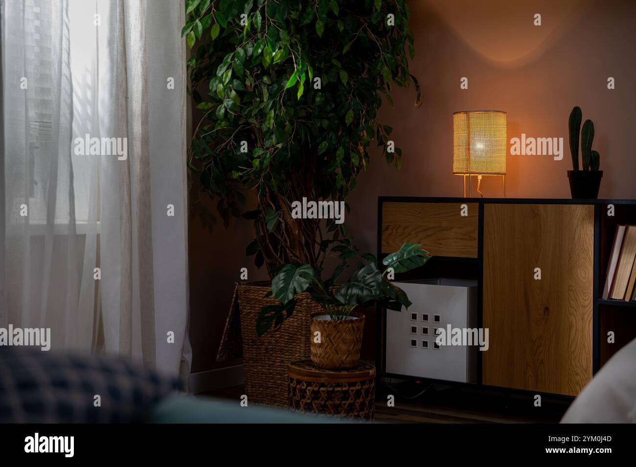 A Cozy Living Space Featuring Charming Indoor Plants and Soft Ambient ...