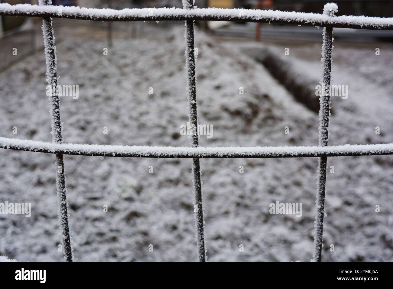 Fencing, metal rods, thin metal pins, chain-link fencing covered in ...