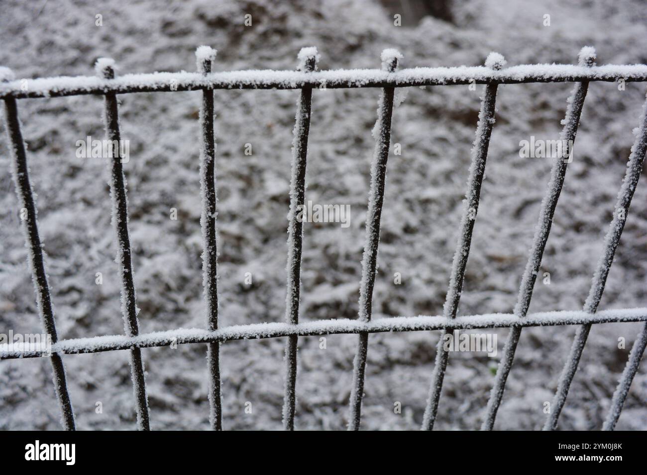 Fencing, metal rods, thin metal pins, chain-link fencing covered in ...