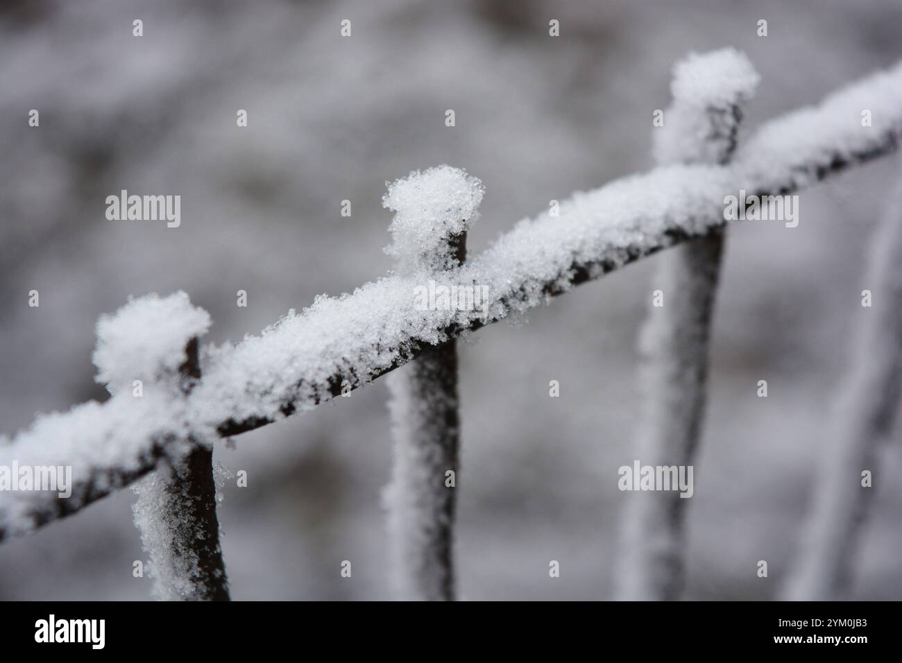 Fencing, metal rods, thin metal pins, chain-link fencing covered in ...