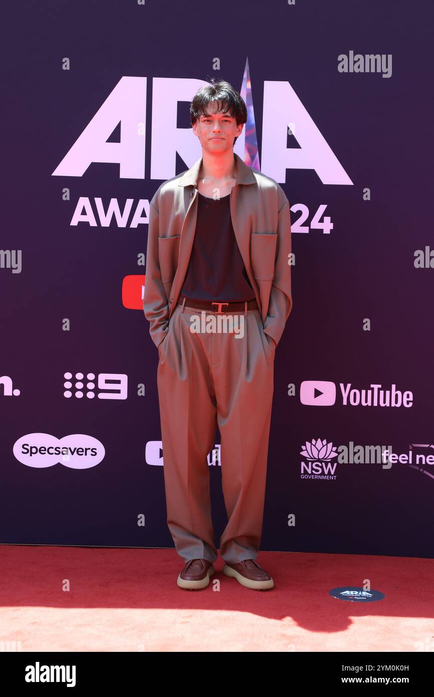 Sydney, Australia. 20th November 2024. Matthew Ifield arrives on the ...