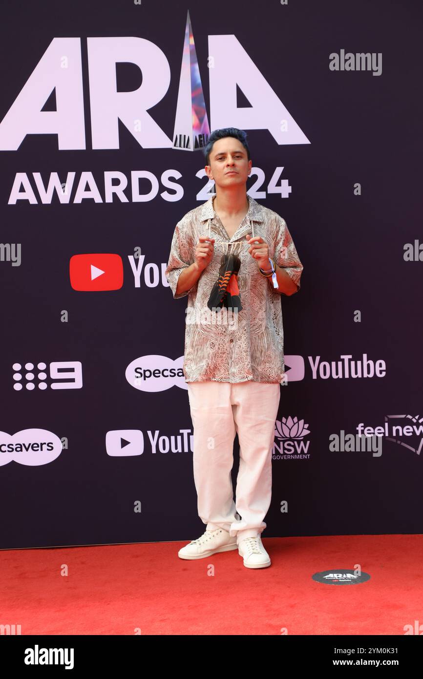 Sydney, Australia. 20th November 2024. Dobby arrives on the red carpet ...