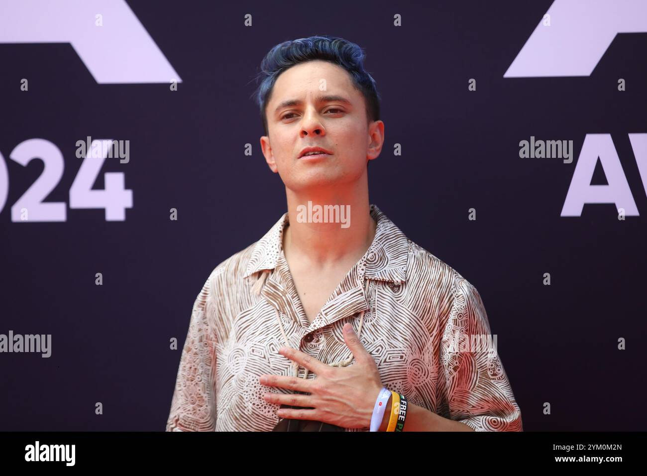 Sydney, Australia. 20th November 2024. Dobby arrives on the red carpet ...