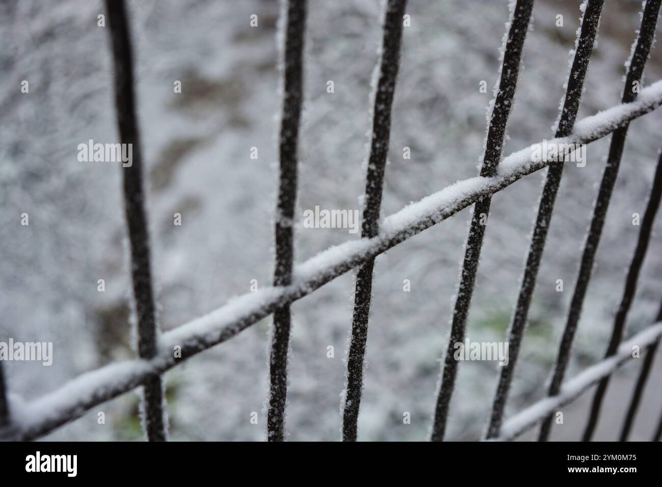 Fencing, metal rods, thin metal pins, chain-link fencing covered in ...