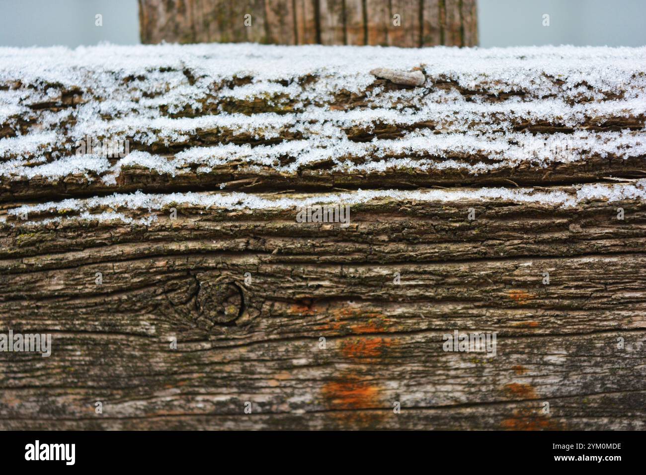 An old wooden log, rotten wooden boards with rusty old nails covered ...