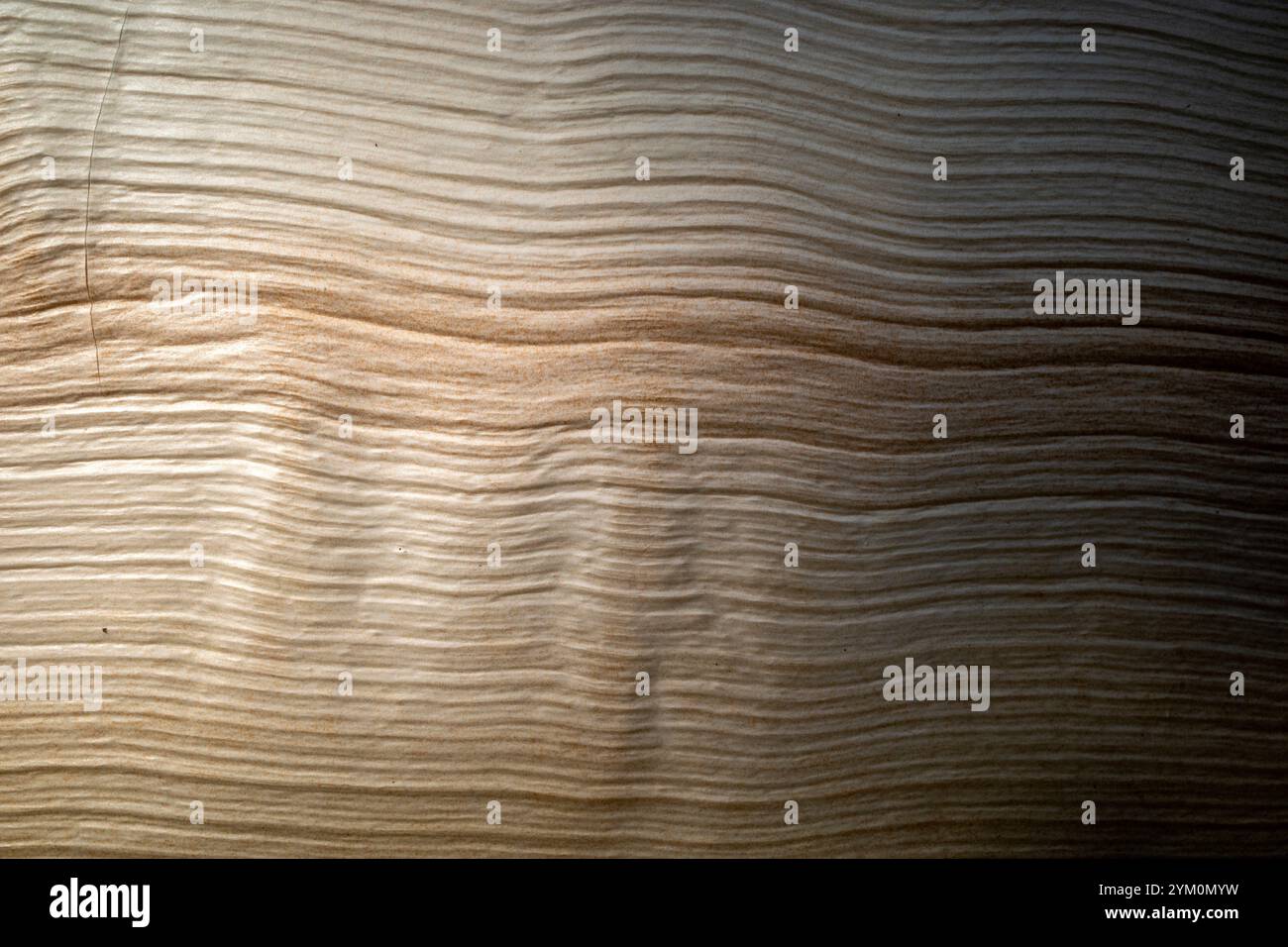 Brown palm leaf stem line texture for natural background and wallpaper ...