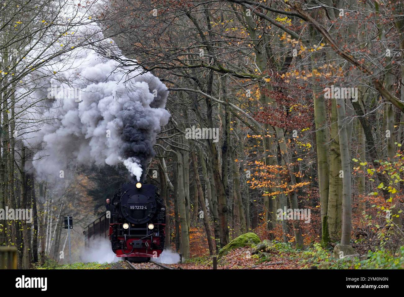 A steam train travels to northern Germany's 1,142-meter (3,743 feet ...