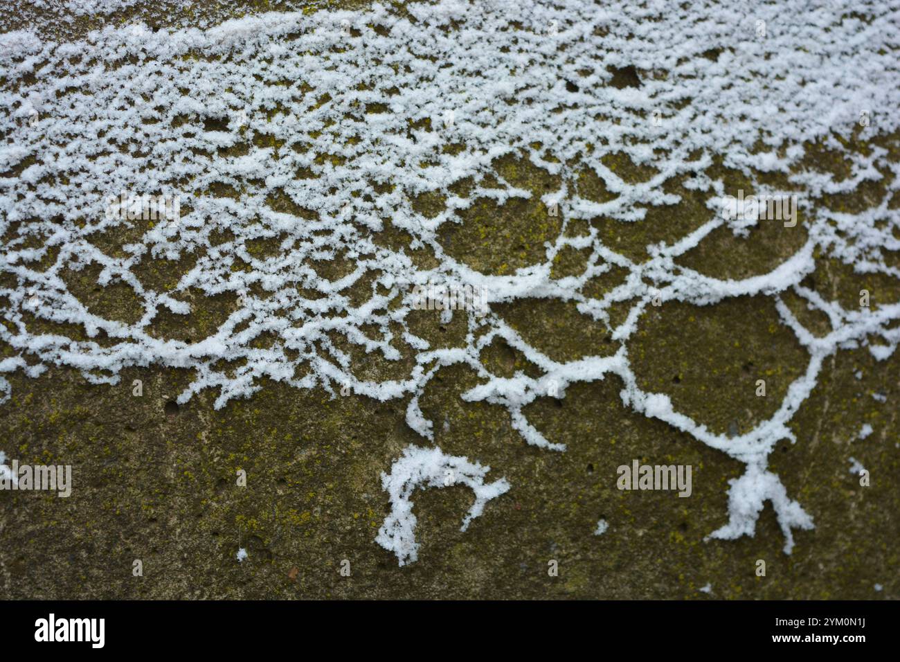 Old cement with white snow, white snow coating on grey brown concrete ...