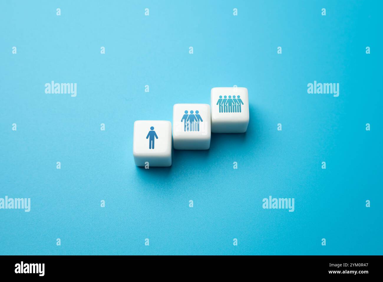 Increase in the number of participants. Community growth from the first ...