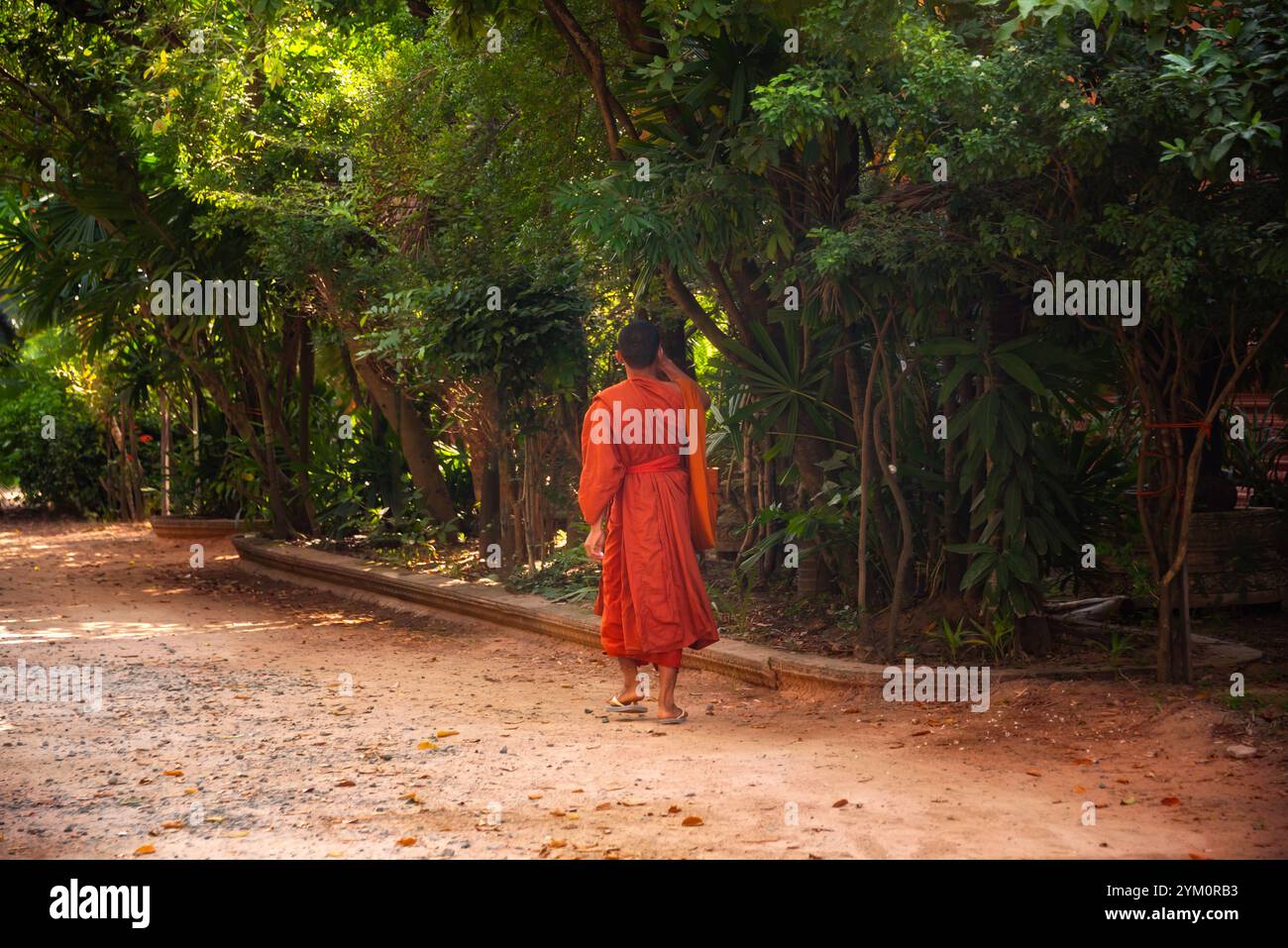 Buddhist monk in orange clothes Stock Photo - Alamy