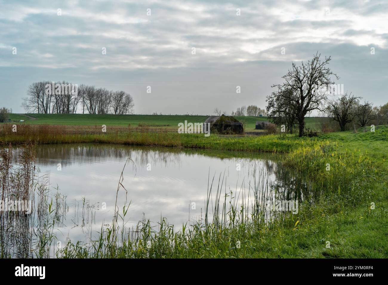 Historic bunkers in the countryside in Utrecht. Schalkwijk, The ...
