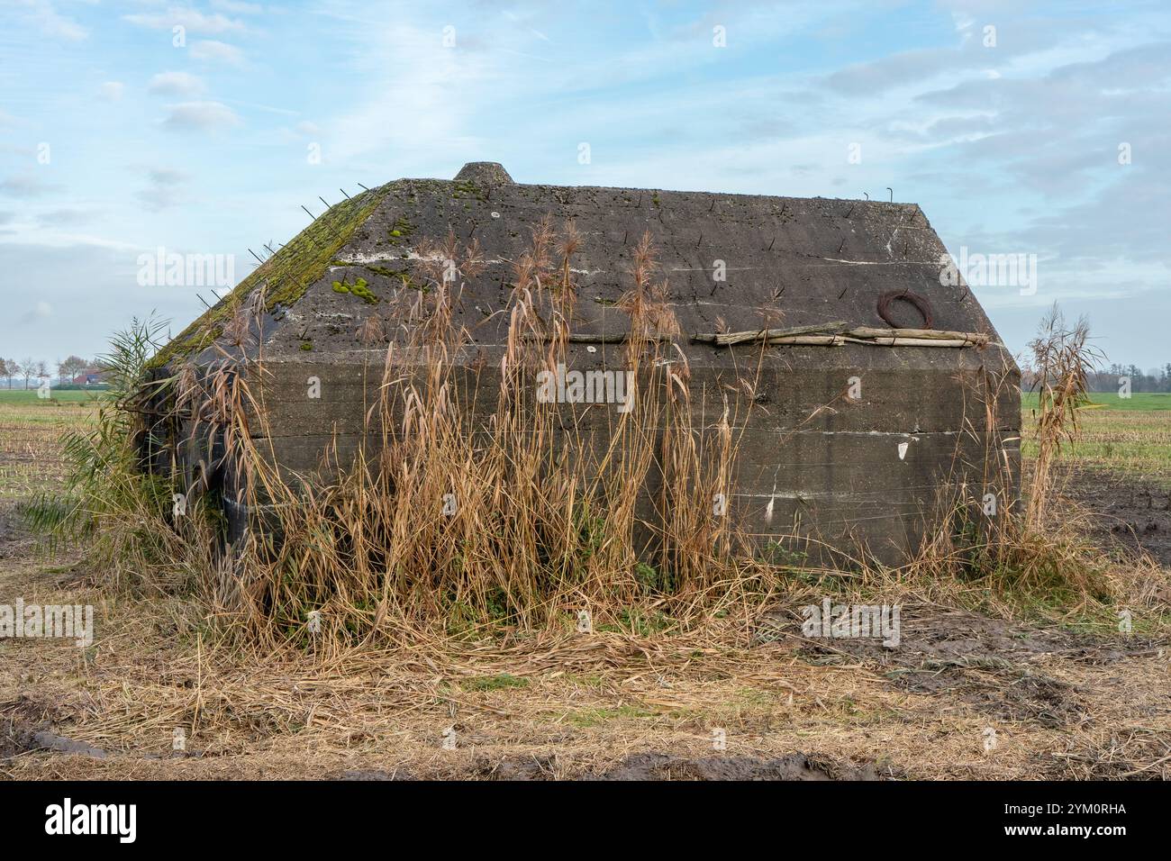 Historic bunkers in the countryside in Utrecht. Schalkwijk, The ...