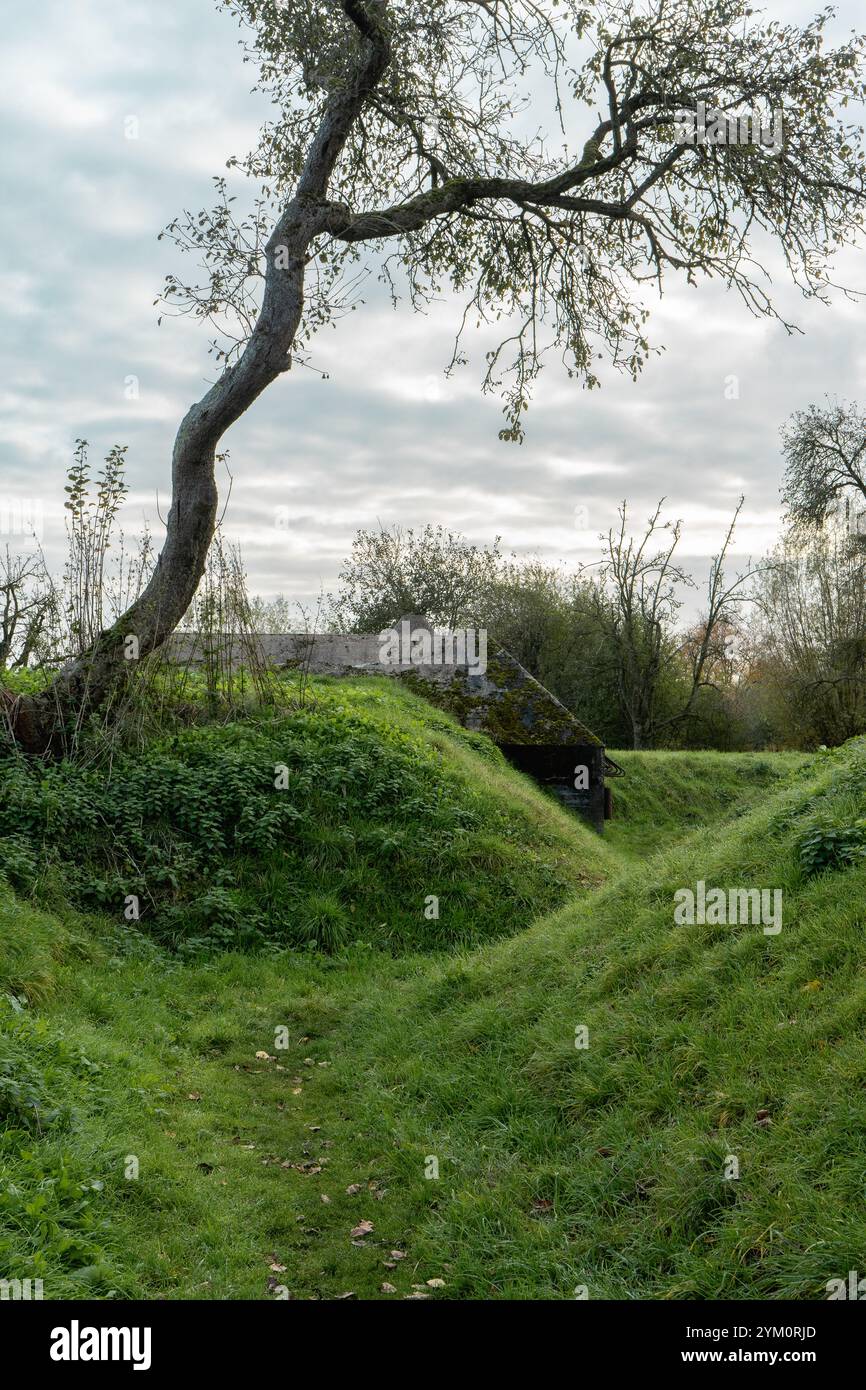 Historic bunkers in the countryside in Utrecht. Schalkwijk, The ...