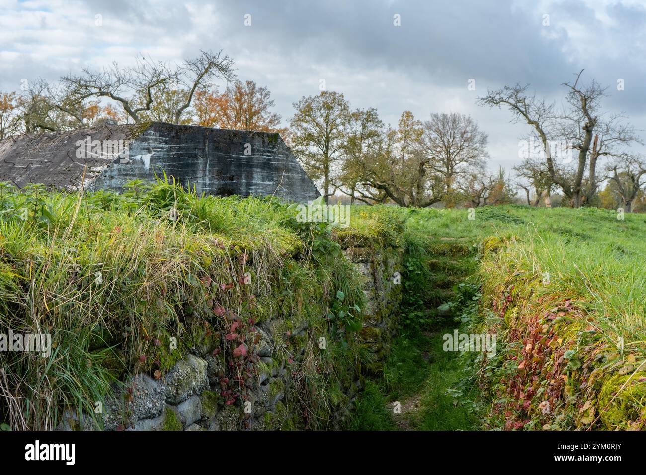 Historic bunkers in the countryside in Utrecht. Schalkwijk, The ...