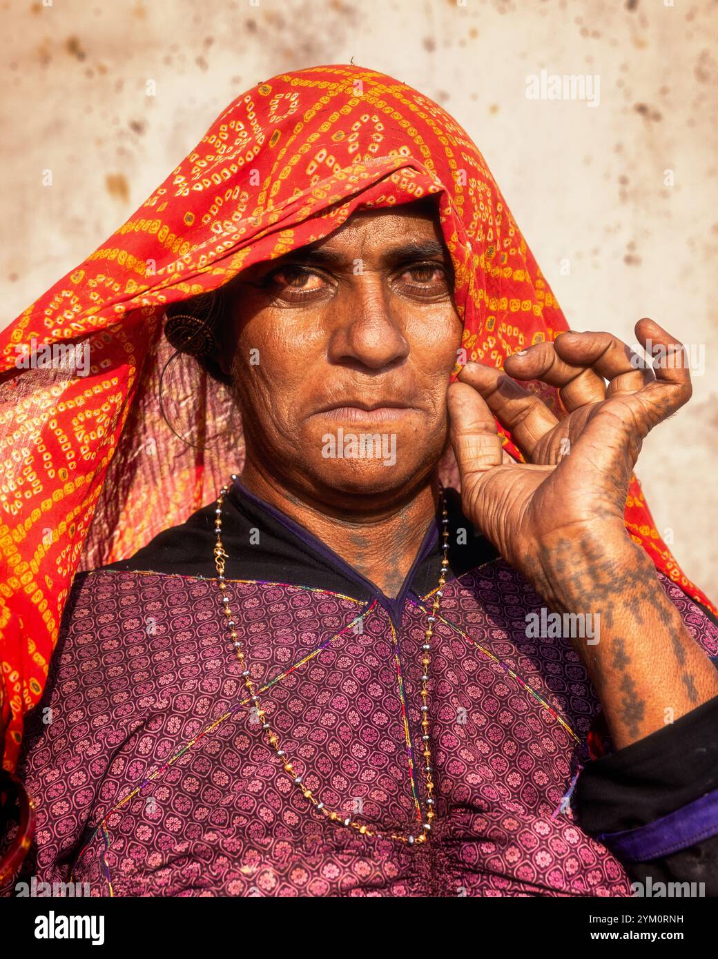 Portrait of tribal woman, Gujarat, India Stock Photo - Alamy