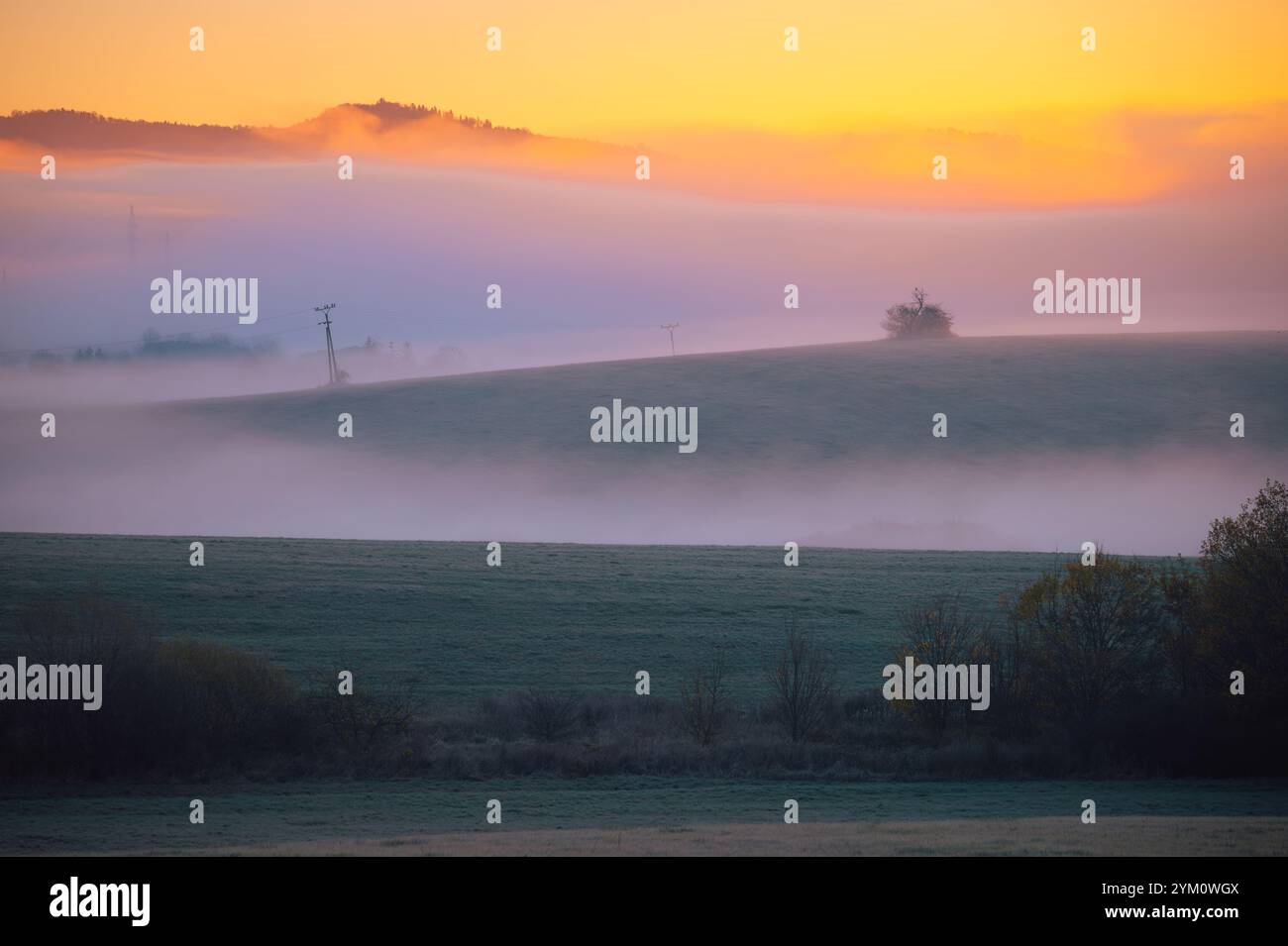 A Misty Autumn Morning Where the Warm Colors of Fall Come Alive Stock ...