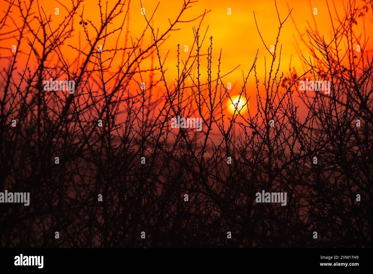 Orange autumn Sunrise. Colorful Wallpaper. Red edit space Stock Photo ...
