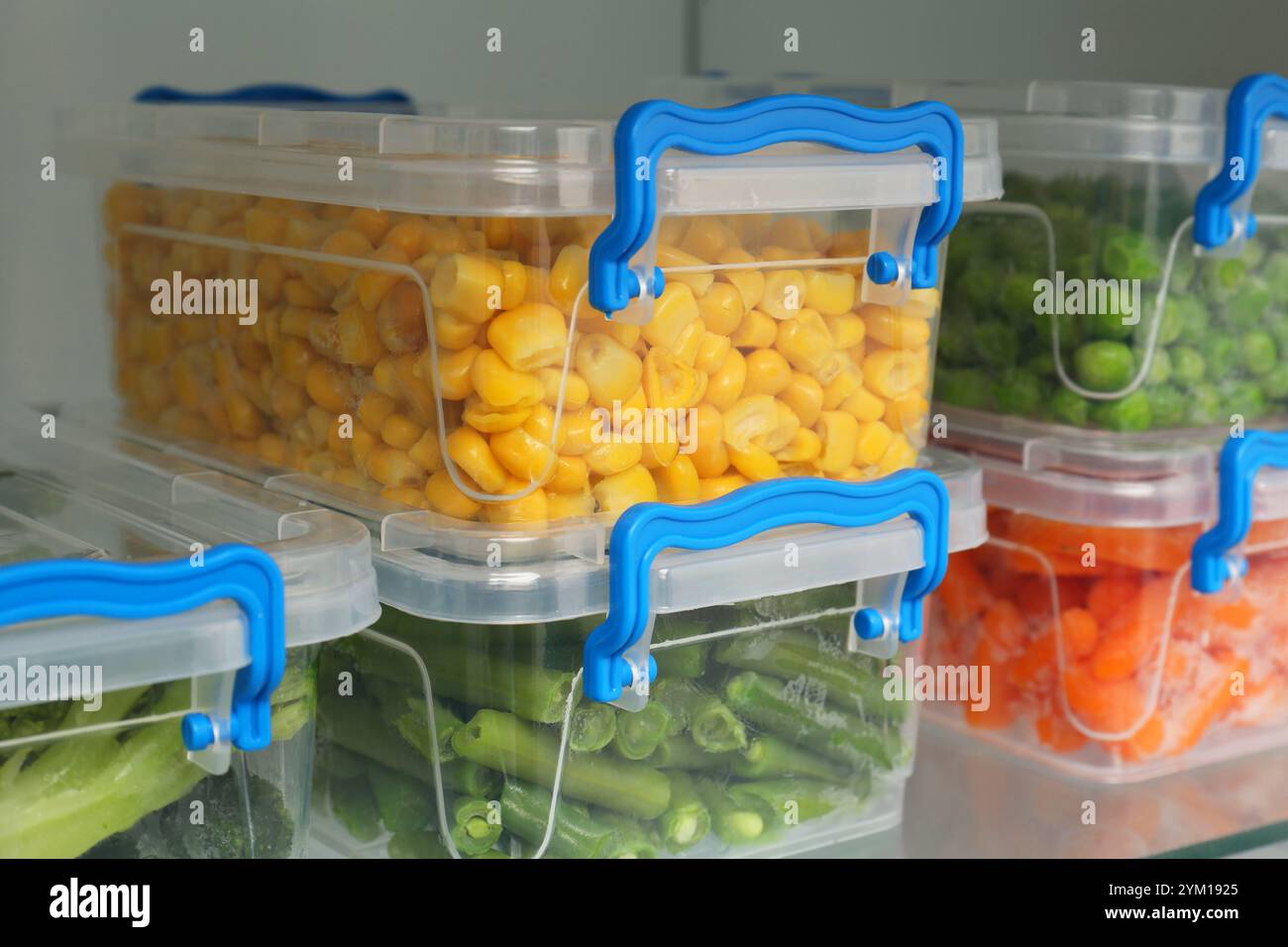 Plastic containers with different frozen vegetables in refrigerator ...