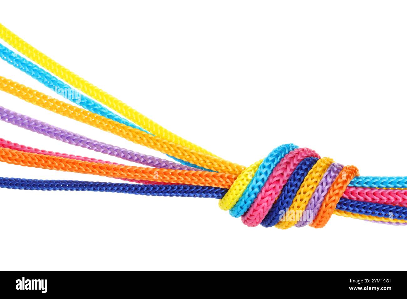 Colorful ropes tied in knot isolated on white. Unity concept Stock ...