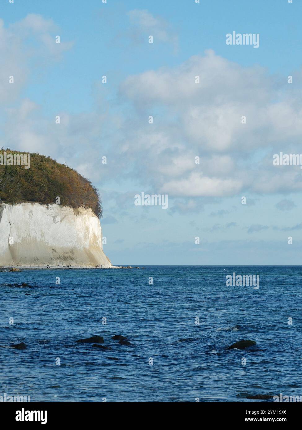 The chalk cliffs on the island of Rügen are the most famous and ...
