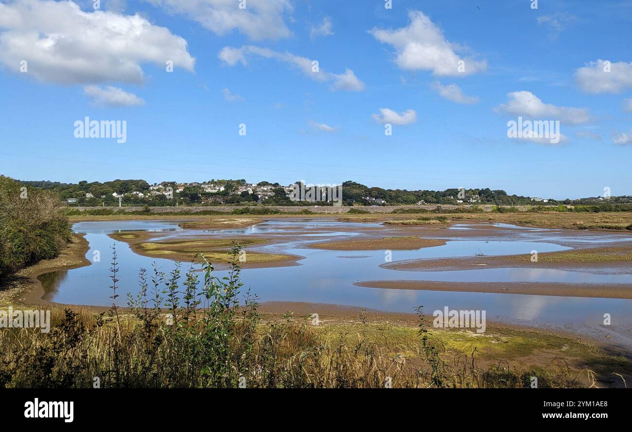 Hayle Estuary Nature Reserve - Cornwall, UK Stock Photo - Alamy
